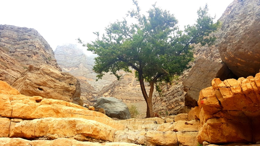 Wadi Shah… My first complete trek… – Bloody Explorer